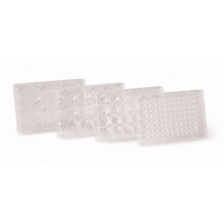 Placi sterile culturi celulare din polistiren, 12 godeuri, 100 buc ...