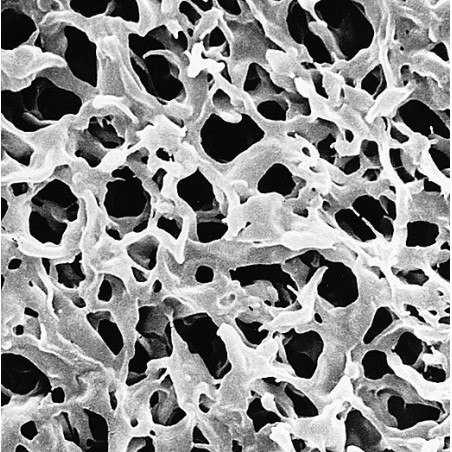 Membrane filtrante hidrofile din PVDF MERCK MILLIPORE, ø 13 mm, dim ...