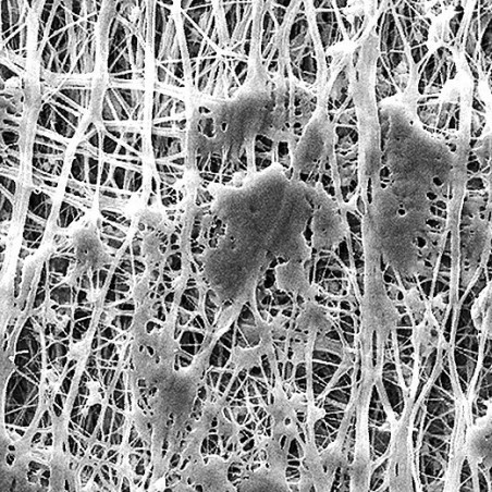 Membrane filtrante din PTFE cu suport laminat MERCK MILLIPORE, ø 90 mm ...